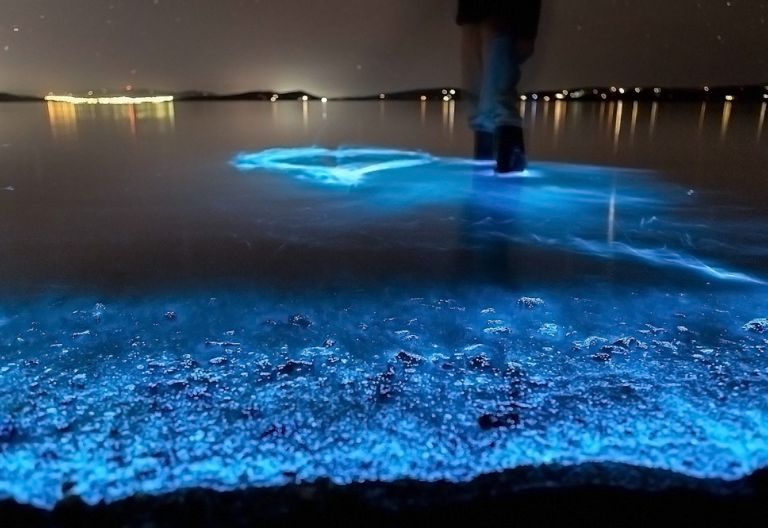 Waves At S’pore Beach Glow Blue At Night, Look Like A Magical Light Show