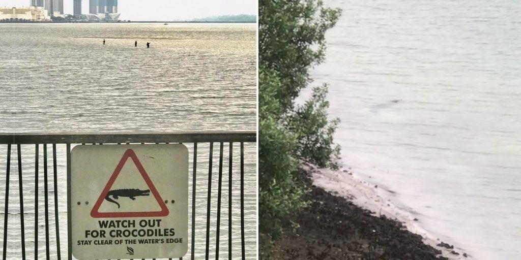 Men Fish In Sungei Buloh Wetland Reserve Despite Crocodile Warnings ...