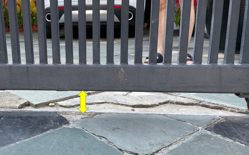 Otters Eat S'pore Family's Koi Fish, Owners Still Help Them Cross Road ...