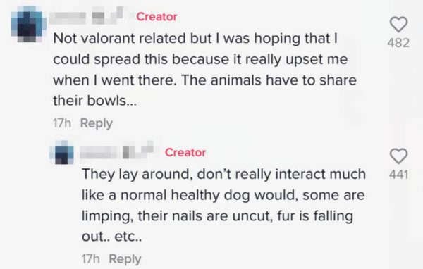 TikToker Accuses Bugis Dog Café Of Neglect, Establishment Says Canines ...