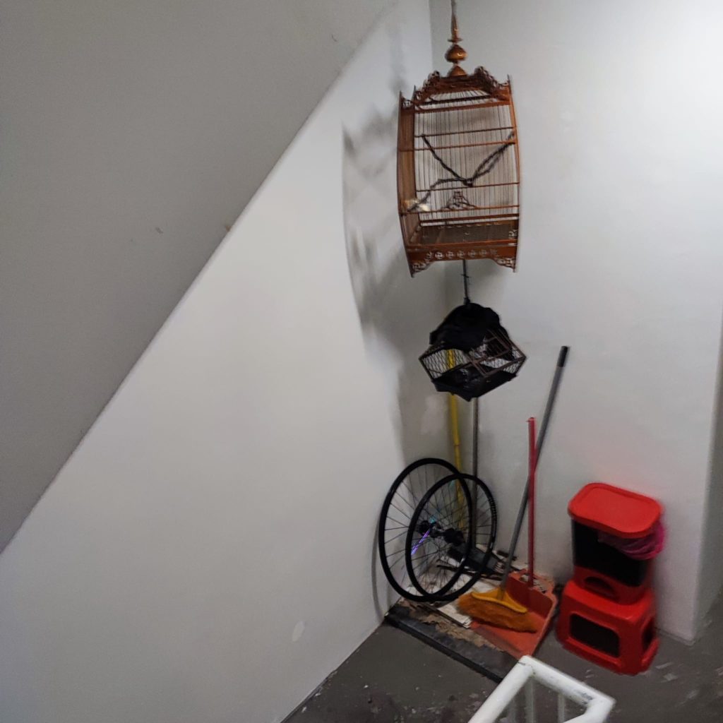 Sengkang HDB Corridor Filled With Bird Cages & Furniture, Town Council ...