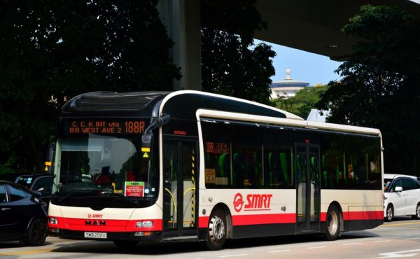 Night Rider Services & 2 Buses To S’pore Zoo, RWS Discontinued From 30 Jun