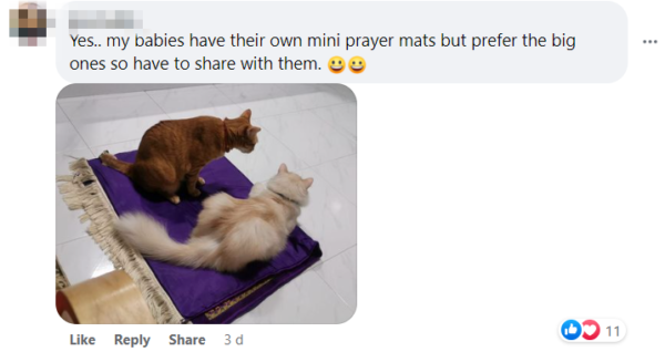 S'pore Pet Cats Get Their Own Mini Prayer Mats, But Some Still Prefer ...
