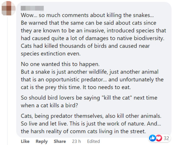 Python Suffocates Cat To Death In Jurong West, Leaves Its Corpse Behind