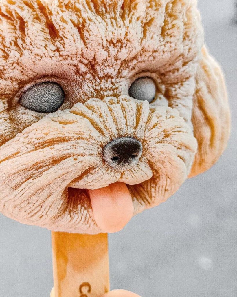 Realistic Poodle & French Bulldog Popsicles Spotted In Taiwan, Adorable ...