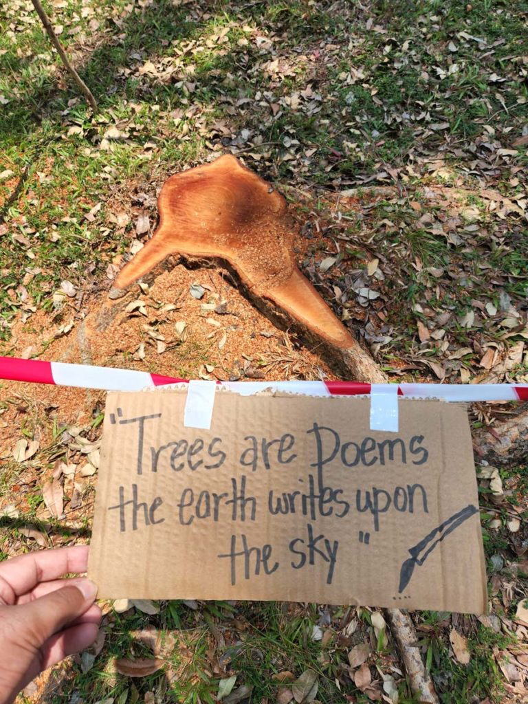 Stranger Leaves Note For Trees Cut Down In Woodlands Neighbourhood ...