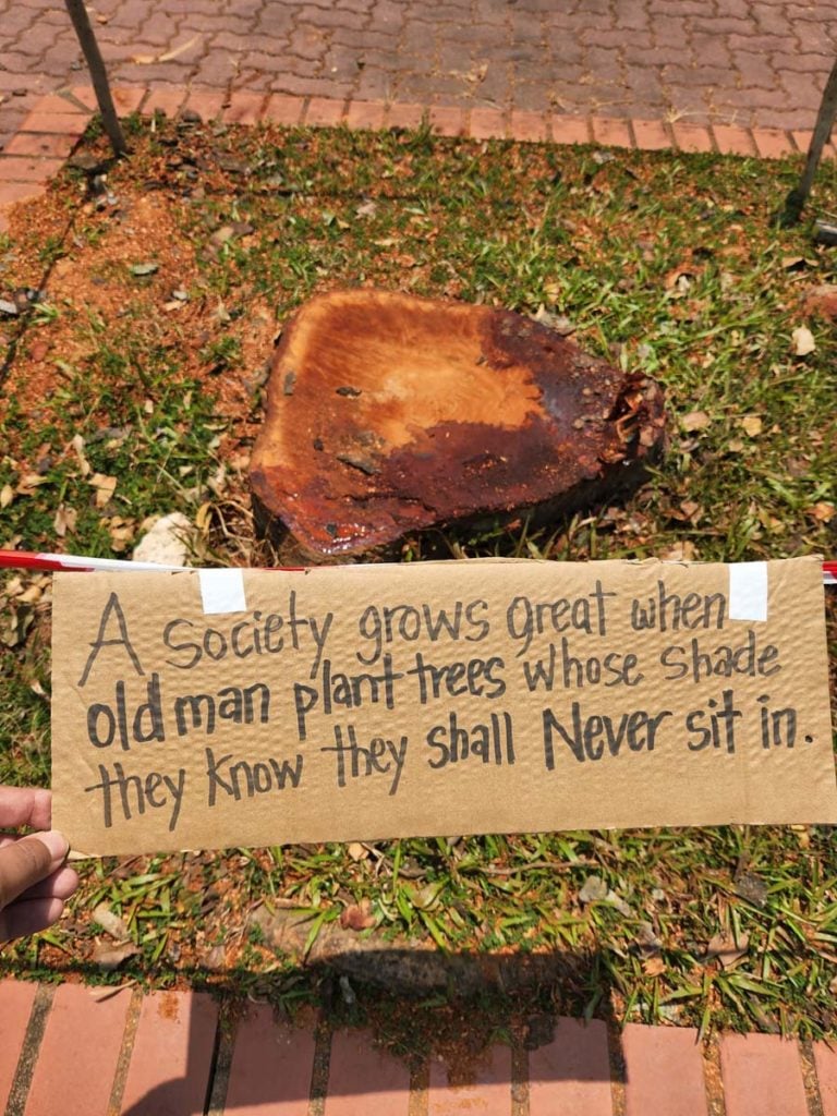 Stranger Leaves Note For Trees Cut Down In Woodlands Neighbourhood ...