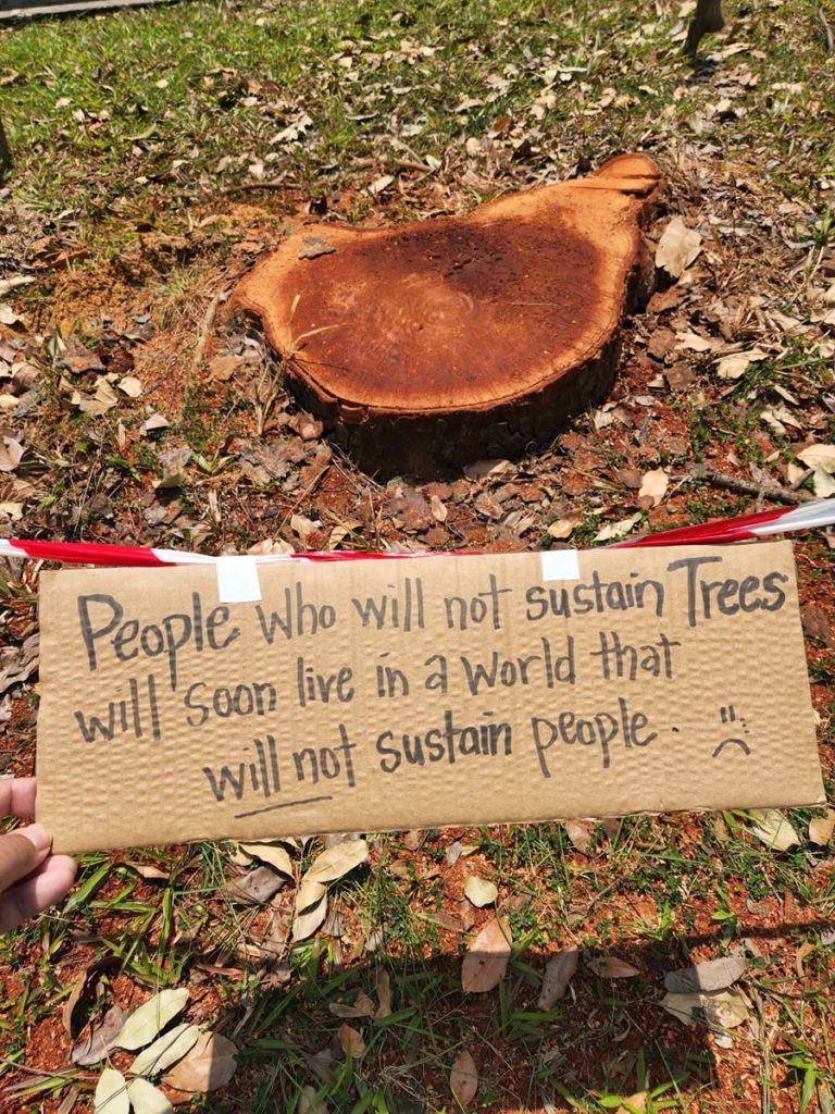 Stranger Leaves Note For Trees Cut Down In Woodlands Neighbourhood ...