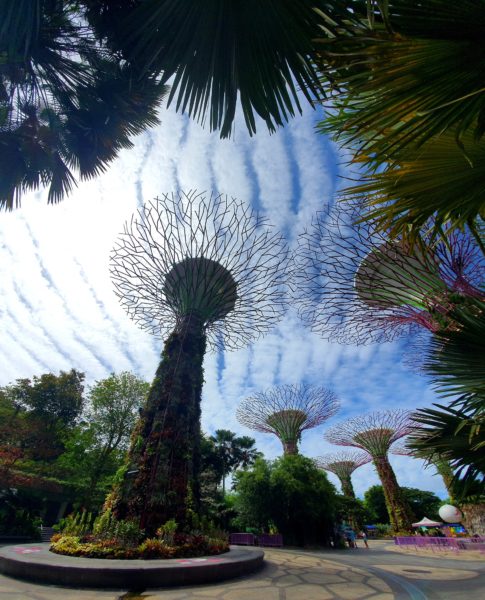 Wavy Clouds Spotted In S'pore On 31 Aug, Look Like Paddy Field In The Sky
