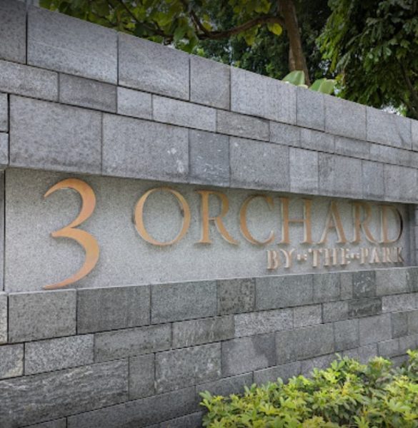 4 Orchard Condo Units Bought By Foreign Buyers In Bulk Purchase, All ...