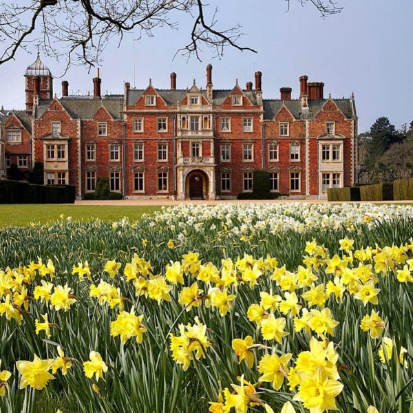 Queen Elizabeth II Listed A Home On Airbnb Before Her Passing, Prices ...
