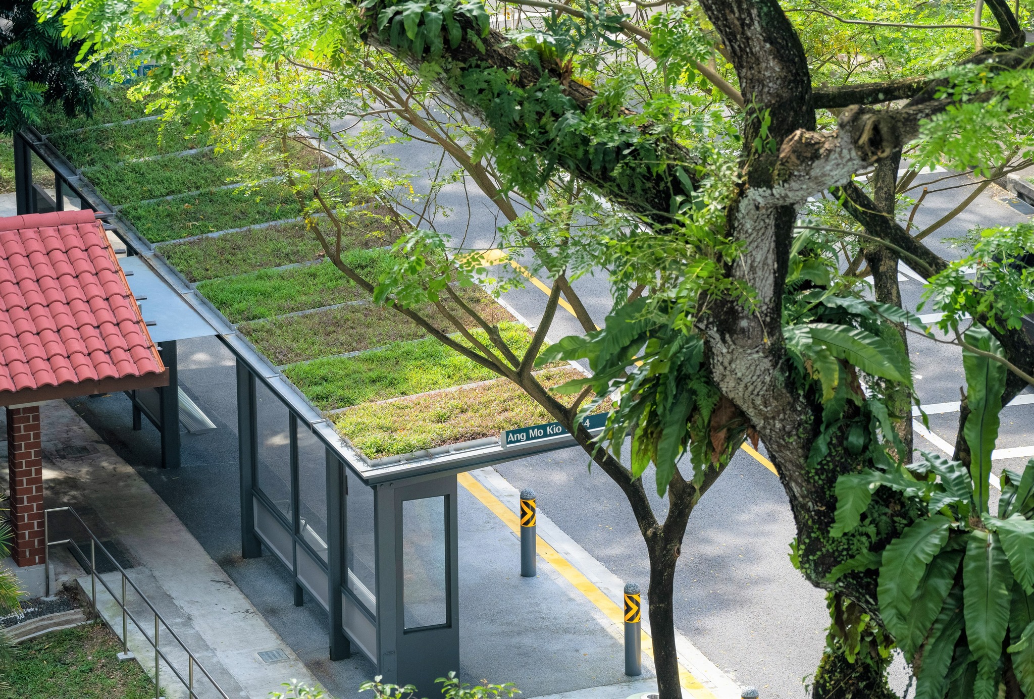 150 S pore Bus Stops Will Have Green Roofs That Can Reportedly Reduce