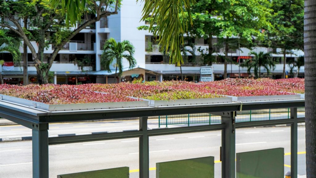 150 S'pore Bus Stops Will Have Green Roofs That Can Reportedly Reduce ...