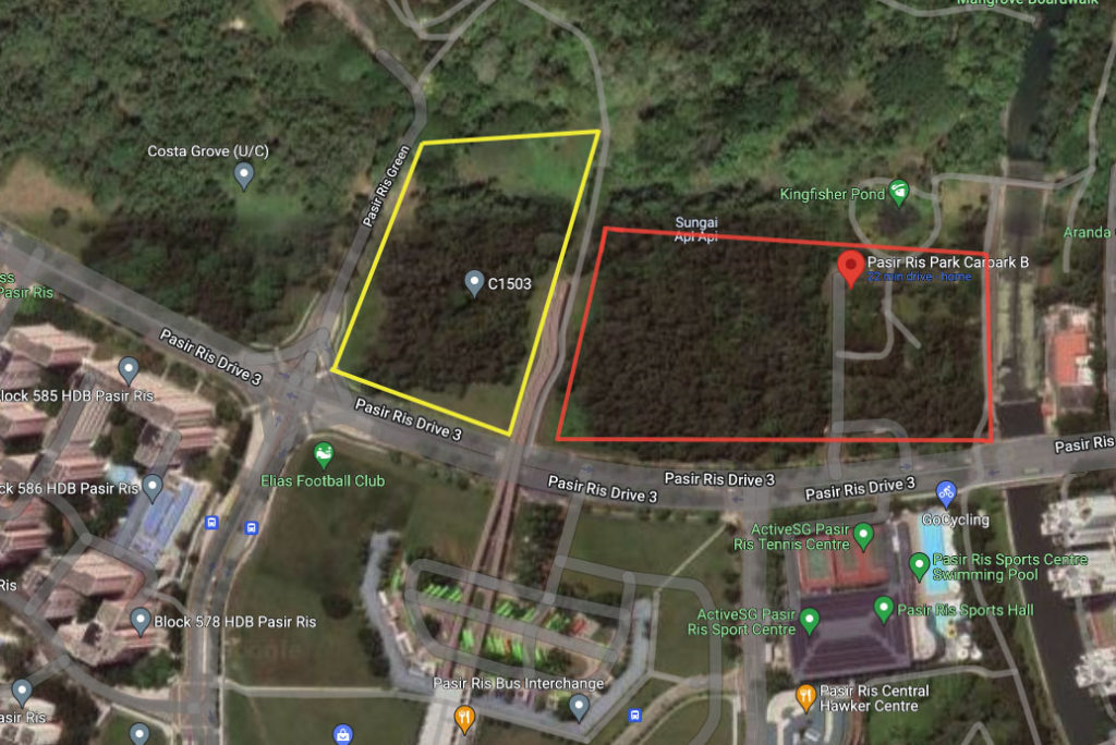 Pasir Ris Park Carpark & Surrounding Area Earmarked For Public Housing ...
