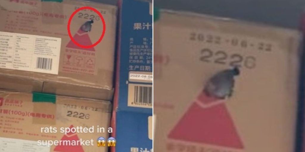 Rat Seen At Scarlett Supermarket In Chinatown, They Apologise & Clean ...