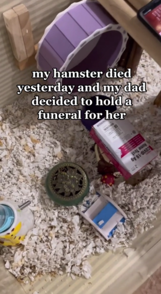 S'porean Family Holds Funeral For Pet Hamster With Buddhist Chants ...