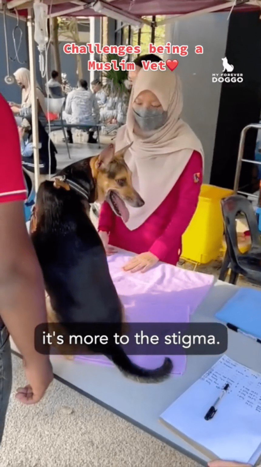 Muslim Vet Treats Dogs Despite Stigma, Says Caring For All Animals Is ...