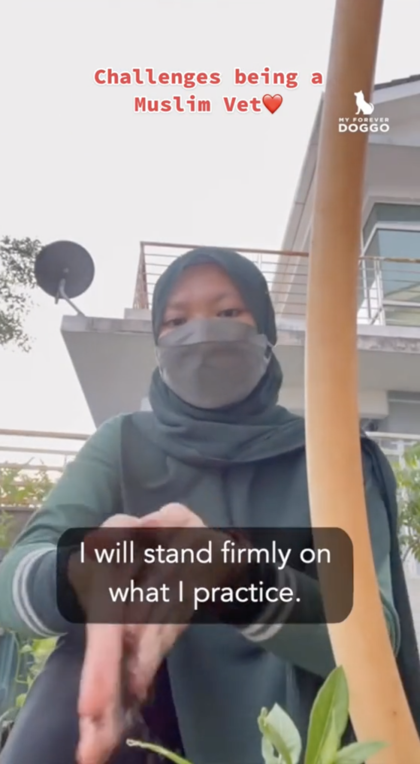Muslim Vet Treats Dogs Despite Stigma, Says Caring For All Animals Is ...