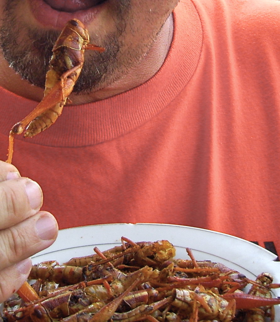 SFA Considering Allowing Insects For Human Consumption In S'pore, Seeks ...