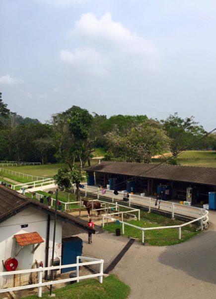 Riders Cafe To Close By End-Feb 2023, Last Chance To Enjoy Brunch With ...