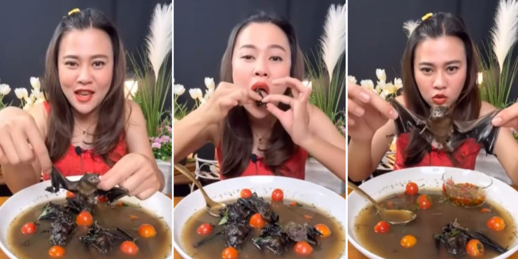 Thai Woman Eats Bat Soup On Livestream, Gets Arrested For Violating ...