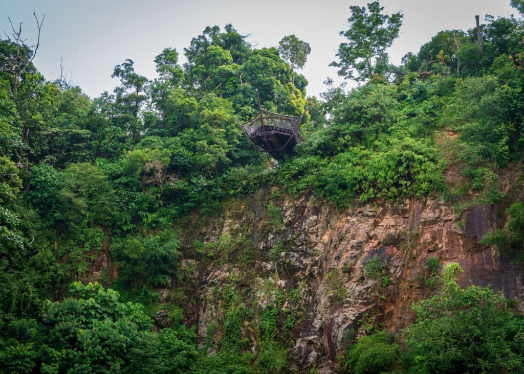 Rifle Range Nature Park Reopens With 31-Metre High Vantage Deck ...