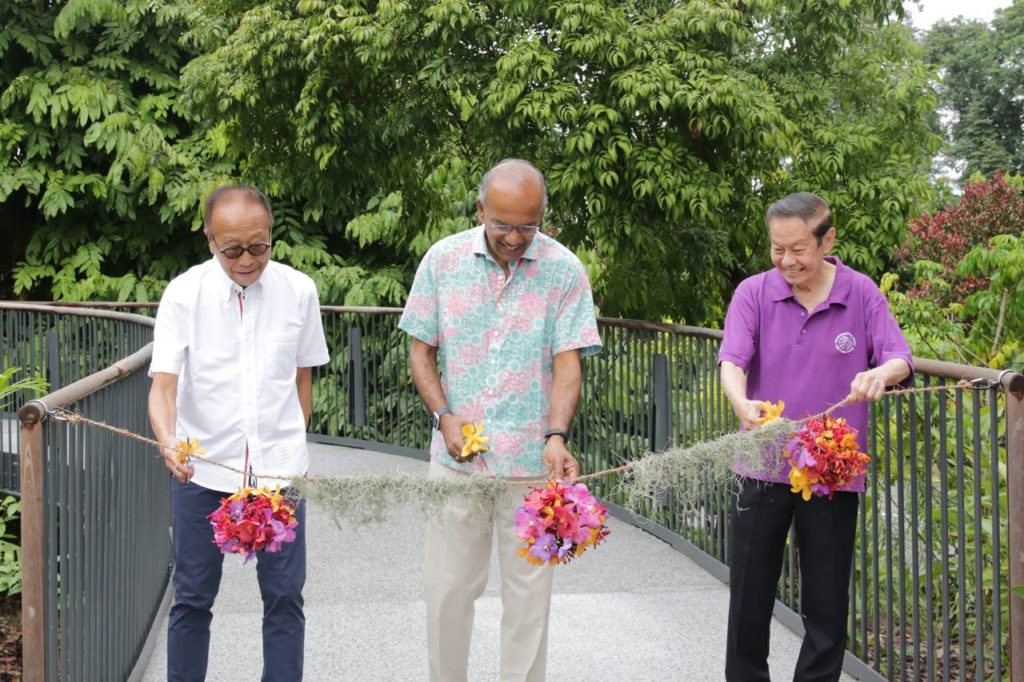 200m Canopy Link Opens At S'pore Botanic Gardens, Enjoy Scenic Walks ...