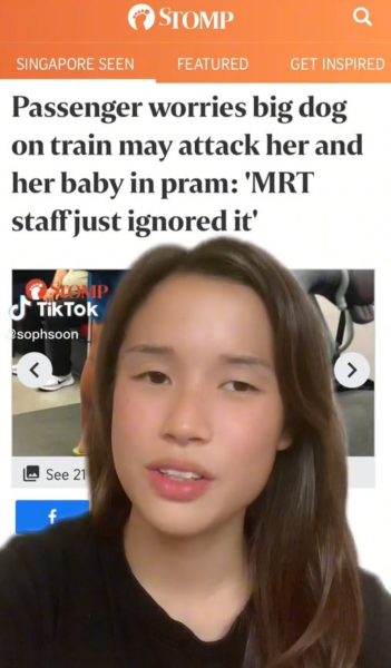 Passenger Complains About Paralympic Swimmer Bringing Guide Dog Into MRT, Owner Clarifies ...