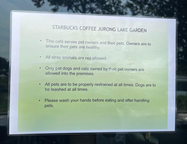 Starbucks Opens Pet-Friendly Café In Jurong Lake Gardens, Admire Scenic ...