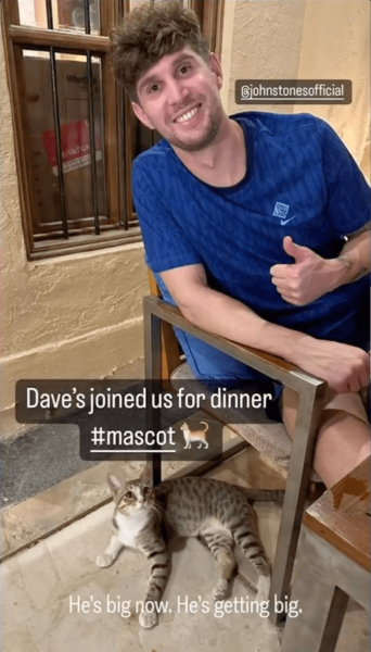 England & Man City Teammates Adopt Qatar Stray Cat, It’s Now Heading To ...
