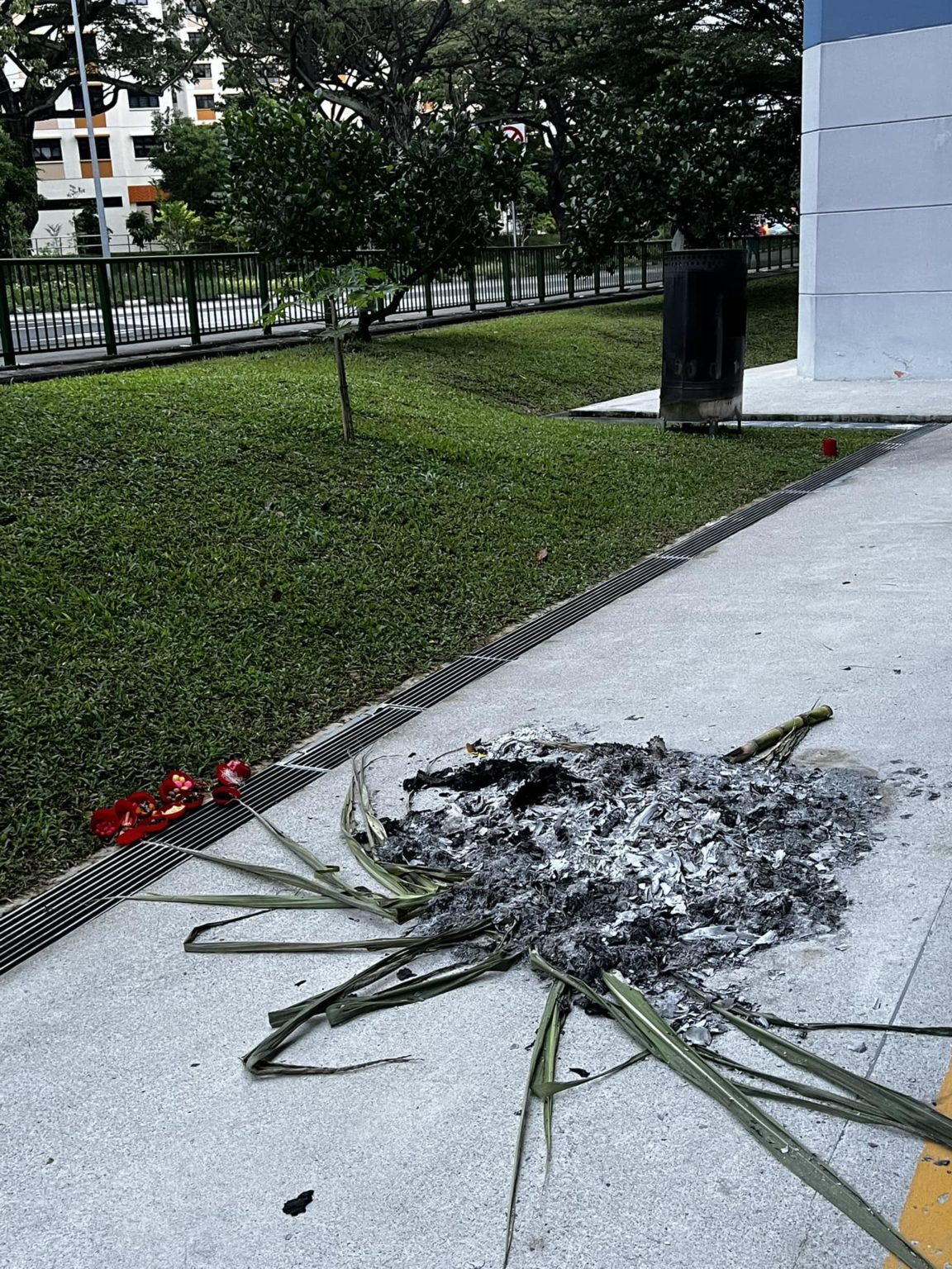 Residents Call Out Irresponsible Burning Of Offerings On 29 Jan ...