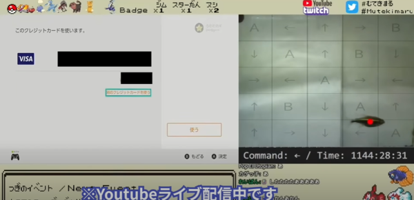Japan Pet Fish Exposes Owner’s Credit Card Details When Controlling ...