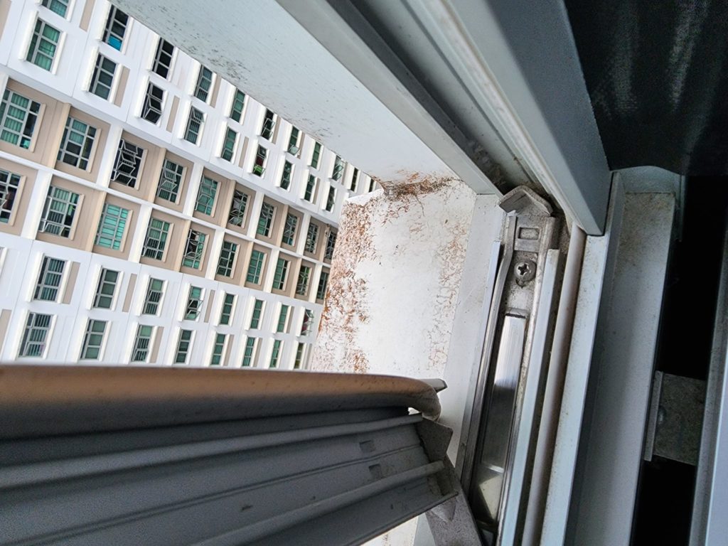 Sengkang HDB Facade Looks ‘Mouldy’ After Just 5 Years, Jamus Lim Says ...