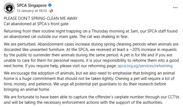 Cat Abandoned In Cage Outside SPCA, Suspected Culprit's Licence Plate ...