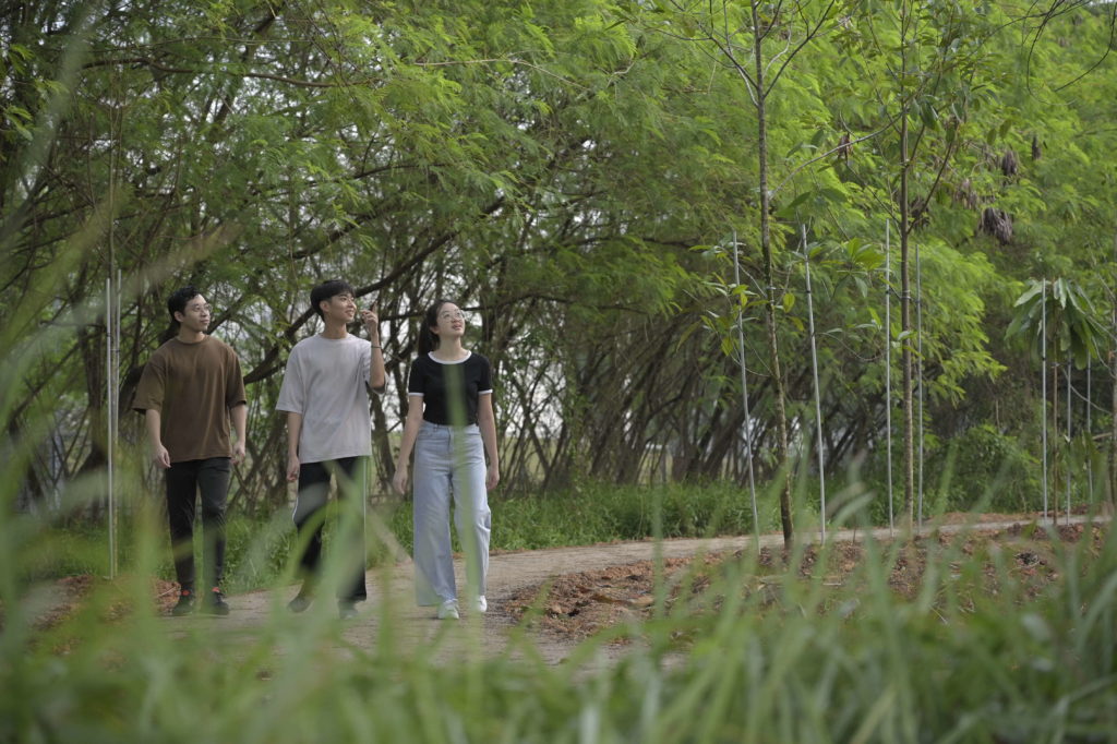Rail Corridor North Opens With 6m-High Lookout Deck, Hike Seamlessly ...