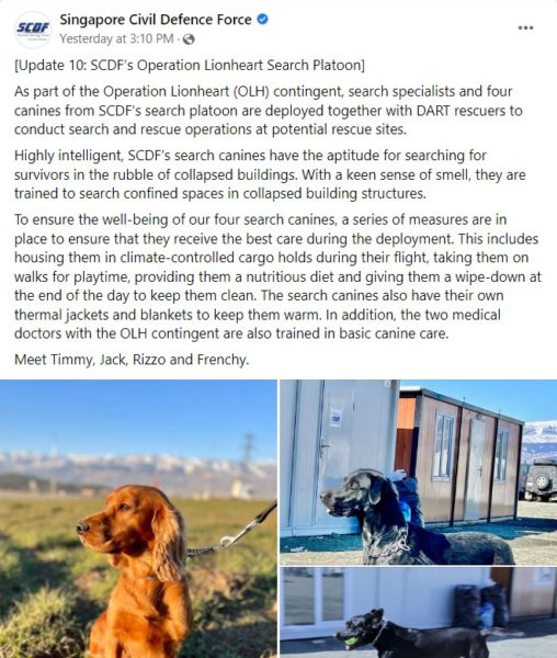 SCDF Search Canines On Turkiye Earthquake Mission Stay Warm With ...