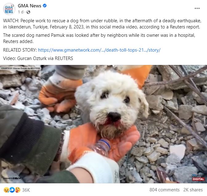 Dog Trapped In Turkiye Earthquake Rubble For 3 Days Waits Patiently As ...