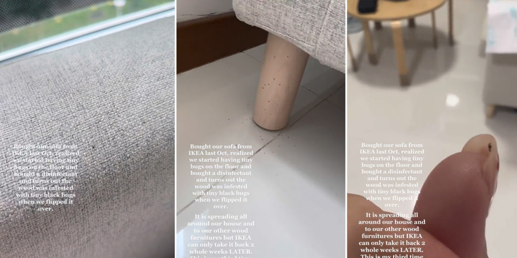 Sofa From IKEA S'pore Allegedly Infested With Bugs, Company ...