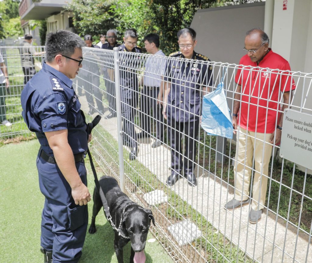 SCDF Dogs Now In Quarantine After Returning From Turkiye, They're ...