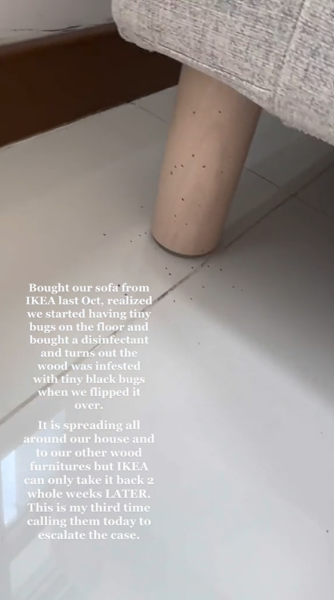 Sofa From IKEA S'pore Allegedly Infested With Bugs, Company ...