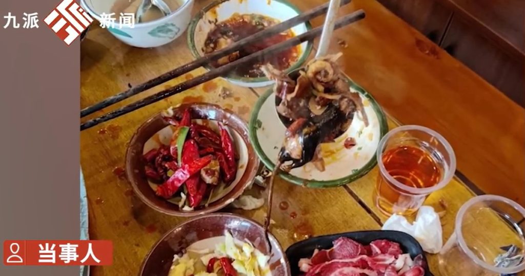 Customer Finds Cooked Mouse In Hotpot, China Restaurant Staff Accuses ...