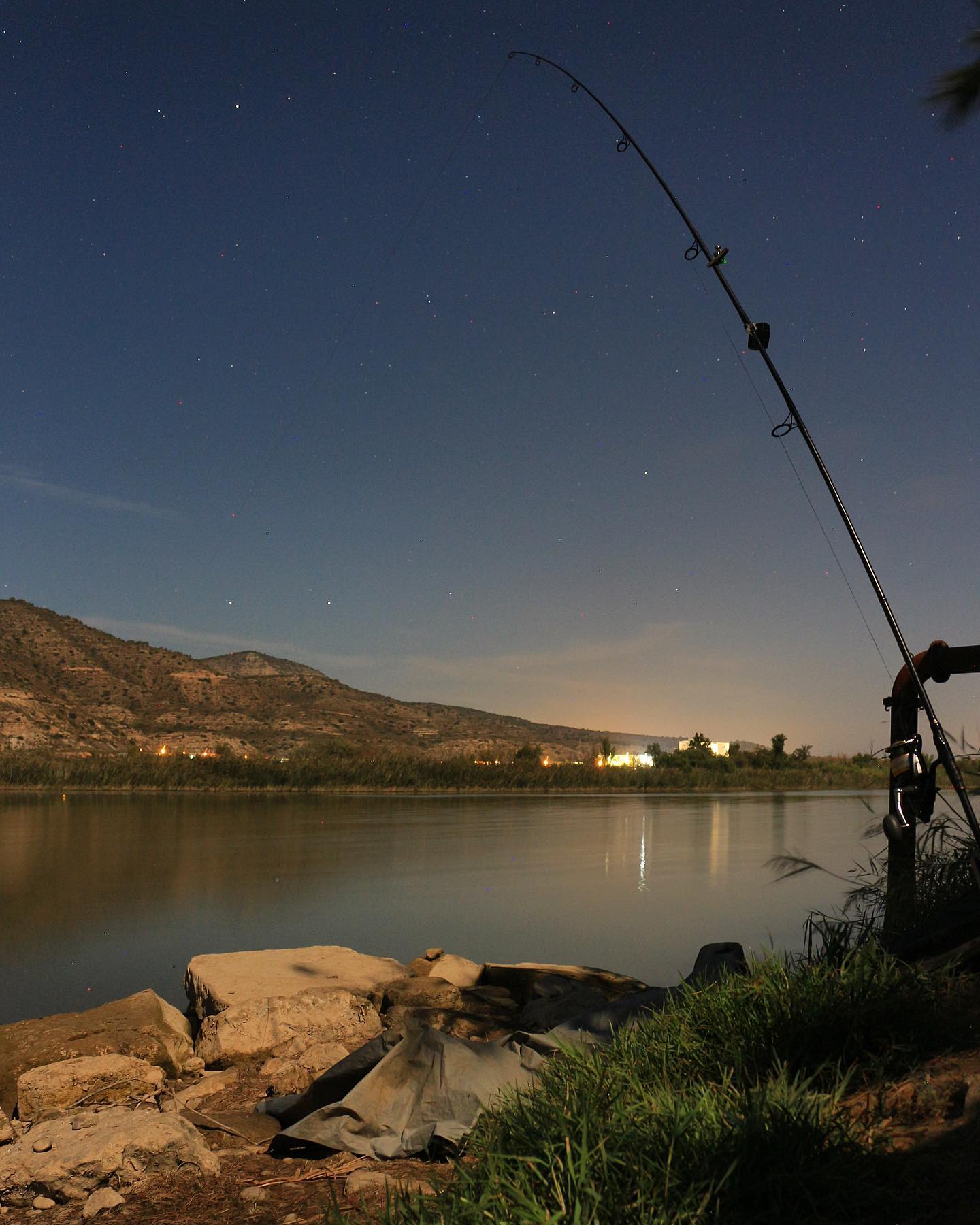 100kg Catfish Caught In Spain River, Fisherman Releases Monster Catch ...