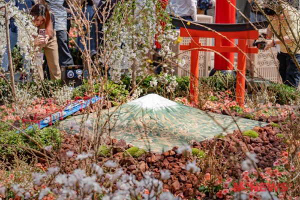 Sakura Display Returns To Gardens By The Bay, Visit A Mini Japan With ...