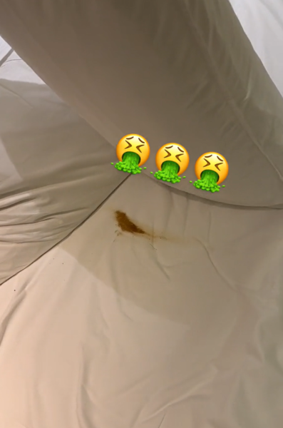 Woman Finds Poop Stains On Hotel Bed, Management Claims Complaint Filed ...