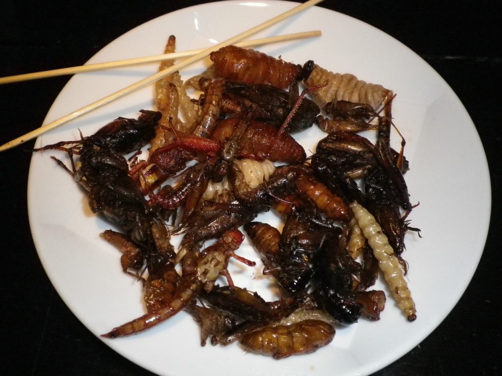 SFA Will Approve 16 Species Of Insects For Consumption In S’pore, Plus ...
