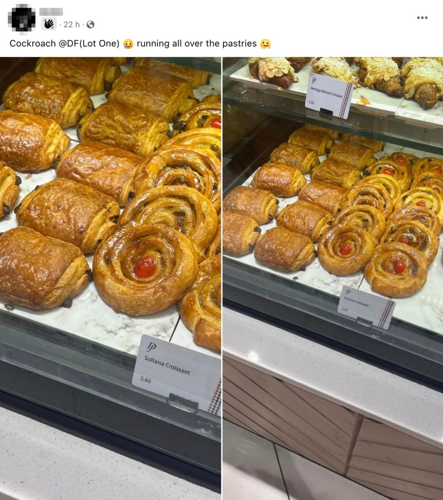 Cockroach Spotted At Lot One Mall Délifrance, Outlet Temporarily Closed ...