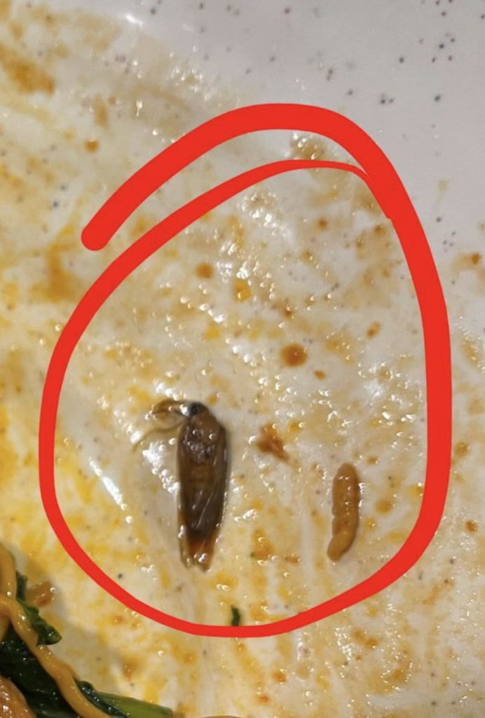 Cockroach Found In Noodles From Toa Payoh Food Court, Staff Allegedly ...