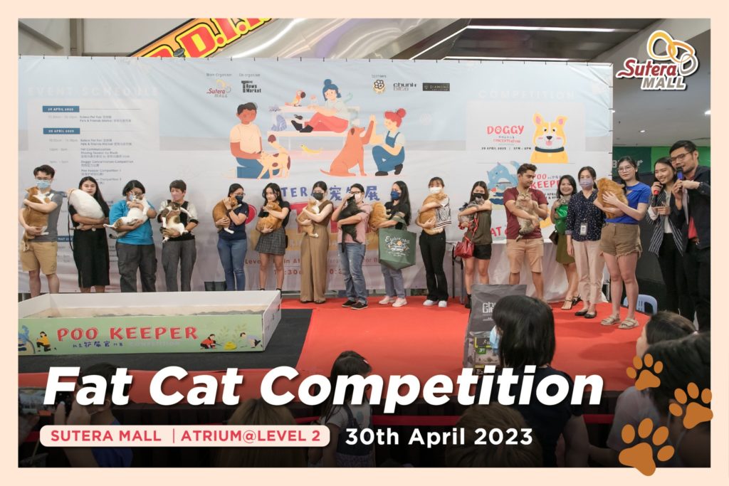 JB Mall Hosts 'Fat Cat Competition', Owners Weigh Their Chonky Felines ...