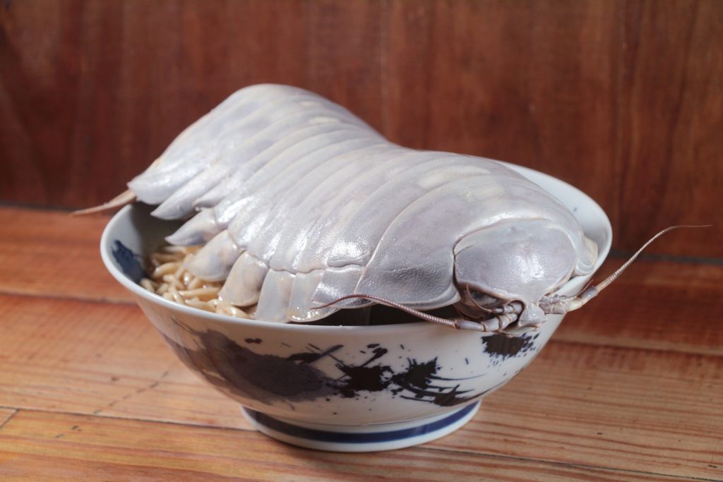 Taipei Restaurant Serves Ramen With 14-Legged Isopod, It Apparently ...