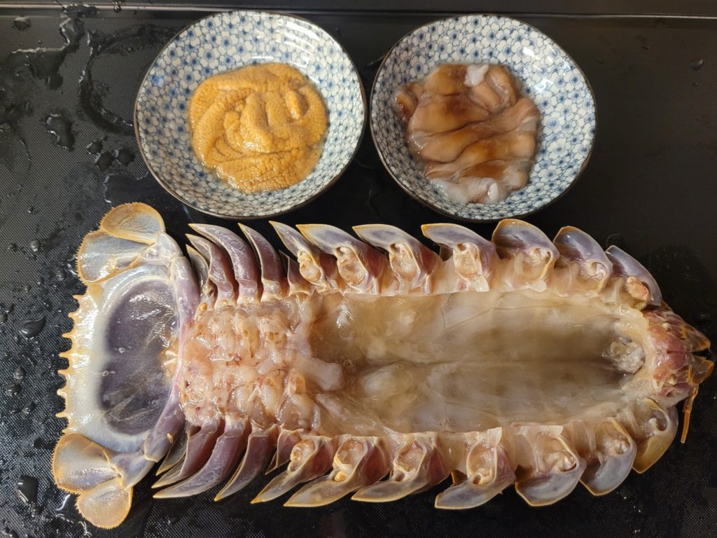 Taipei Restaurant Serves Ramen With 14-Legged Isopod, It Apparently ...